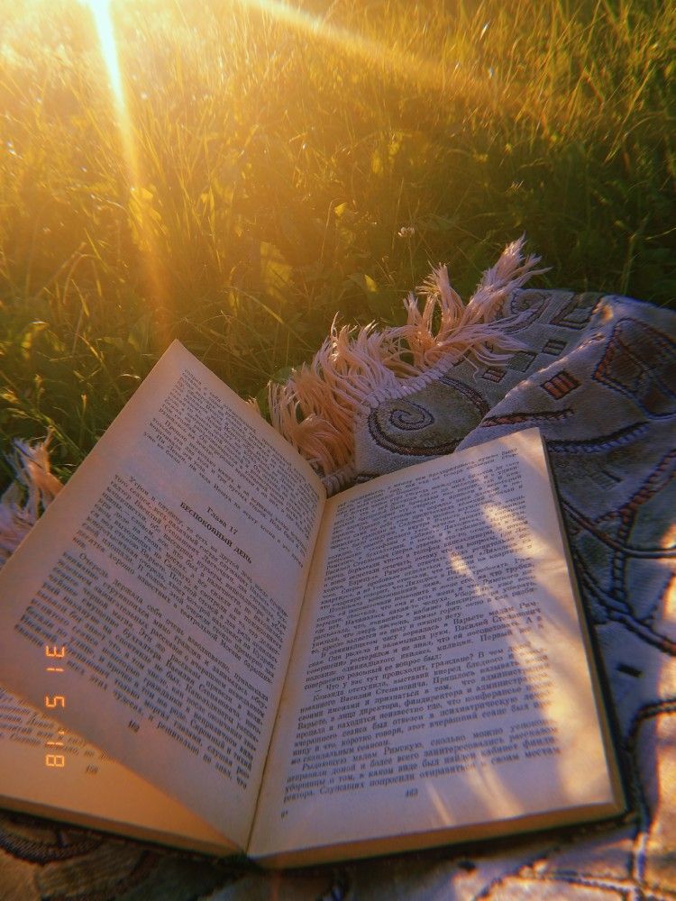 Satori Moments And The Journey Of A Coach - Shakhhsiyat